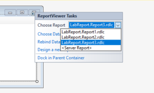 Create an RDLC Data Report in VB.NET in 7 Steps - CSVeda