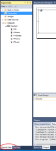 Create an RDLC Data Report in VB.NET in 7 Steps - CSVeda
