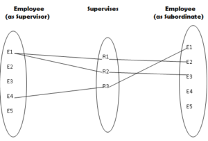 Relationships in ER Models and Types - CSVeda