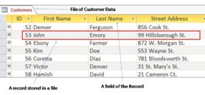 Fields, Records and Files - CSVeda