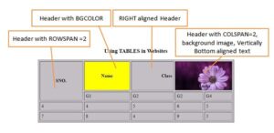 HTML Table TH – Table Header - CSVeda